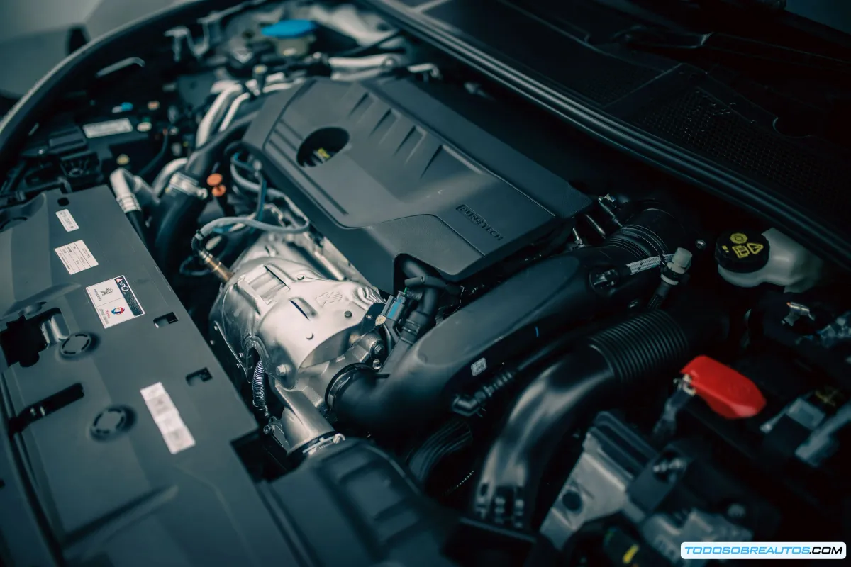 Peugeot Responde: Plan de Acción Integral para Afectados por Motores ...